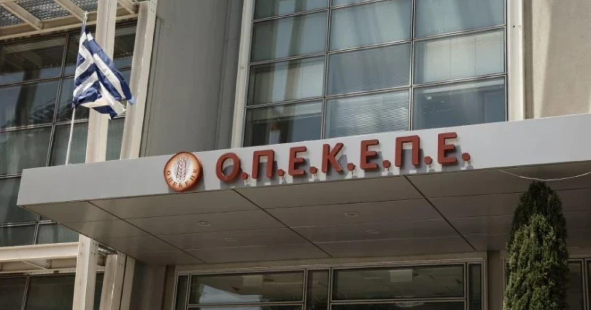 ΟΠΕΚΕΠΕ: Οι αποκαλύψεις για την ιδιωτική εταιρεία που είχε τον έλεγχο ...